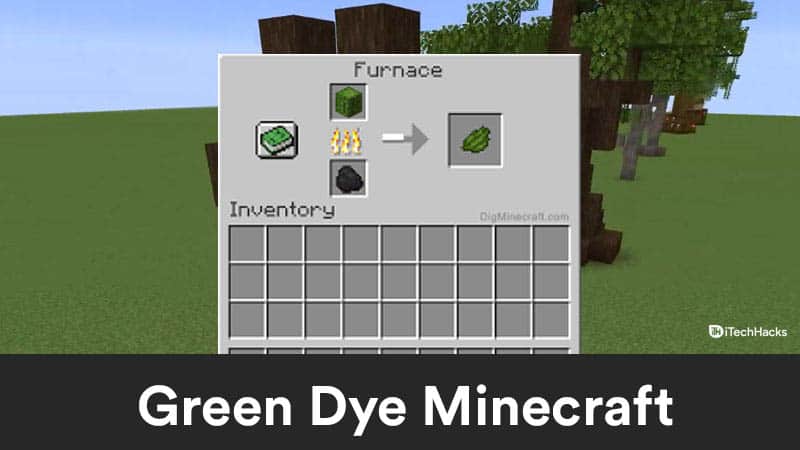 Jak získat Minecraft Green Dye