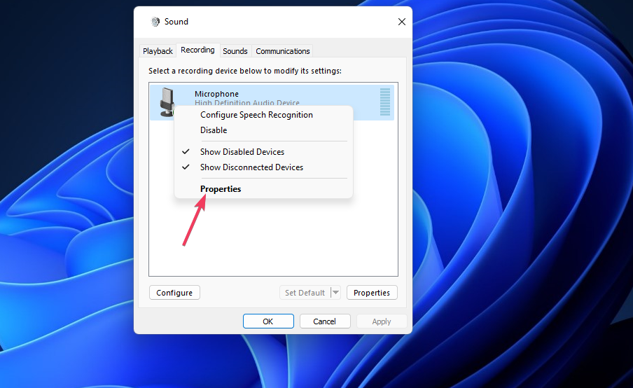 Chybí mikrofon v systému Windows 11: Jak jej povolit