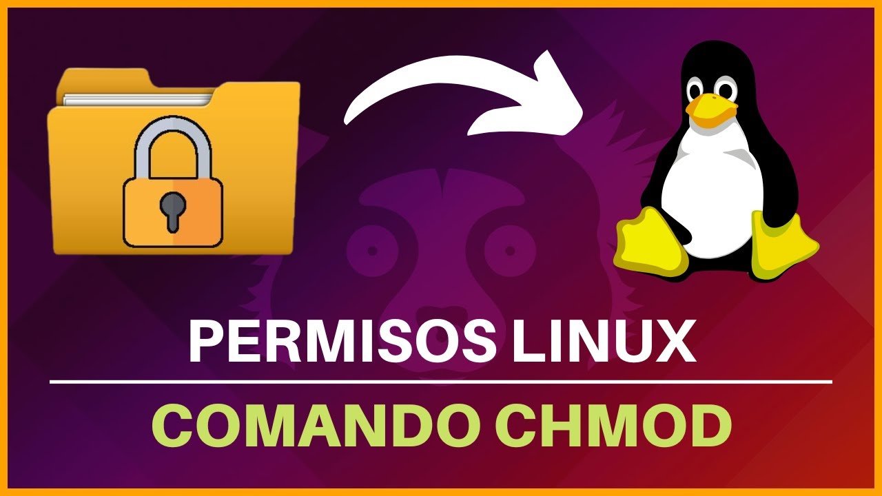 Co je příkaz chmod v Linuxu? - Tiempo de Frikis