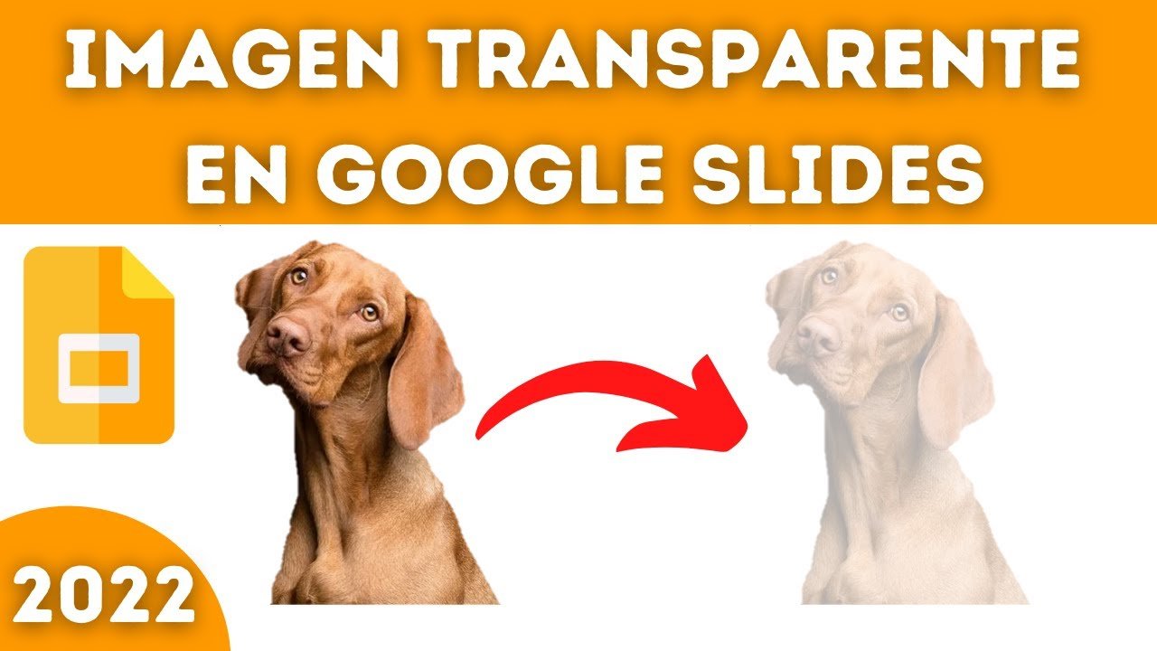 Jak vložit obrázek PNG do prezentací Google?