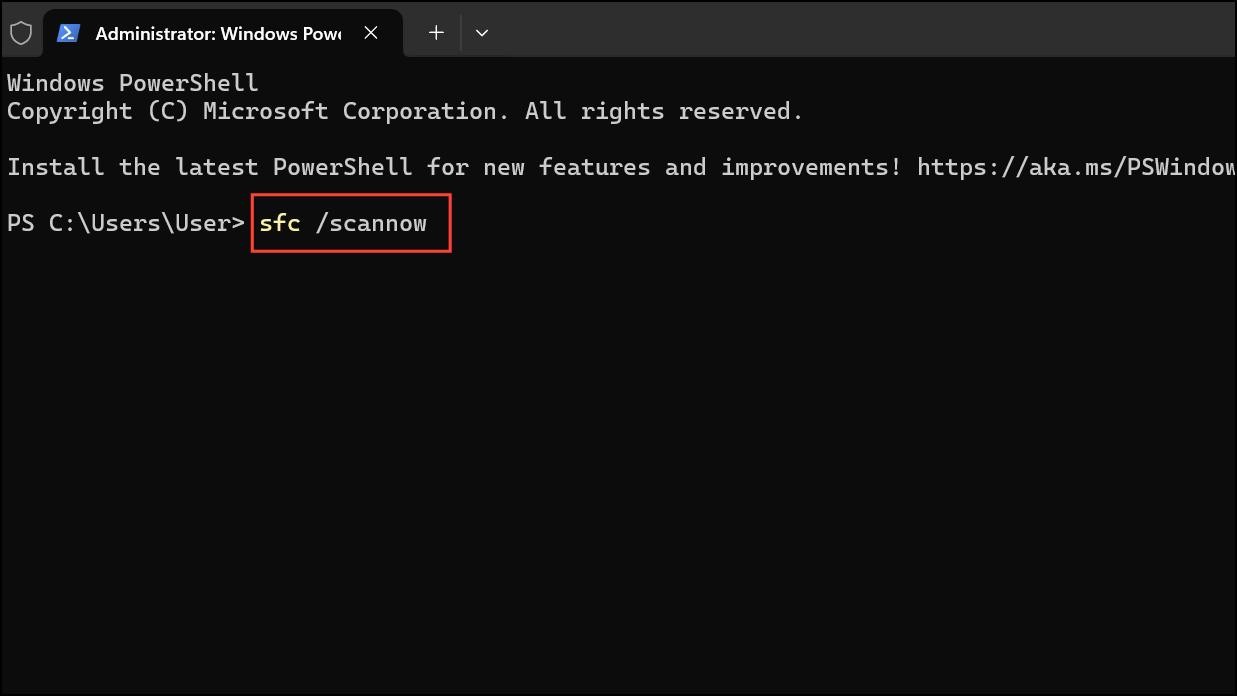 Løs "Type Initializer til ' 'Kastede en undtagelse "-fejl på Windows 11 24H2 -maskiner