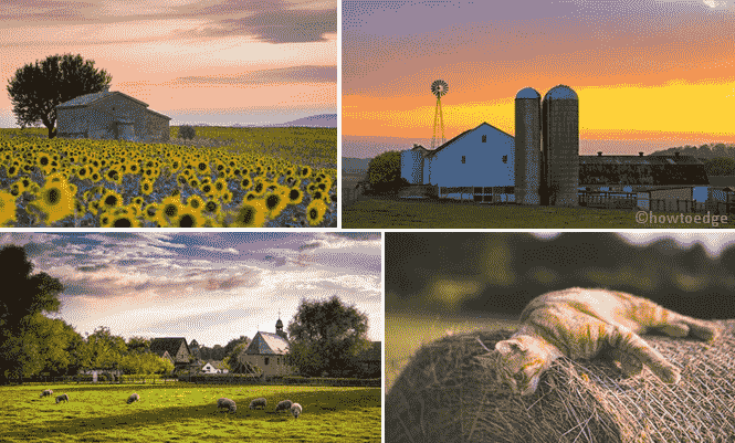 Die 60 besten kostenlosen Windows 10 -Songs, die Sie auf Ihrem Desktop ...