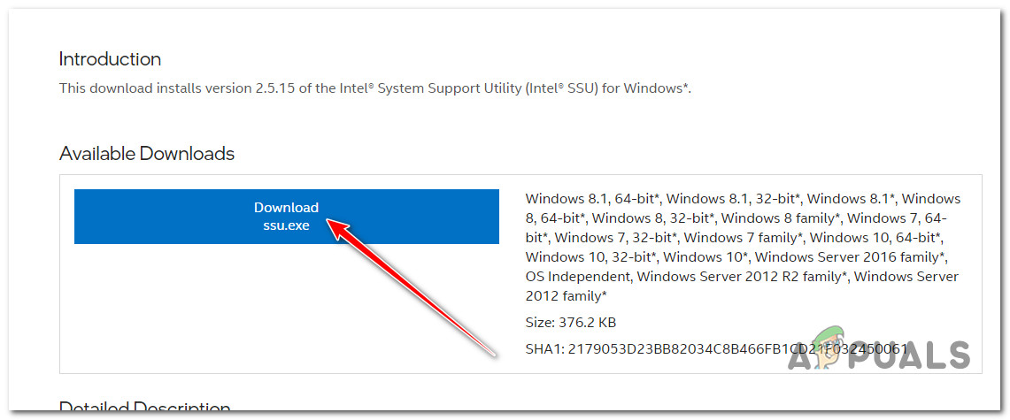 Wie behebe ich das Problem mit dem Bildschirmflimmern in Microsoft Edge? - Tiempo de Frikis
