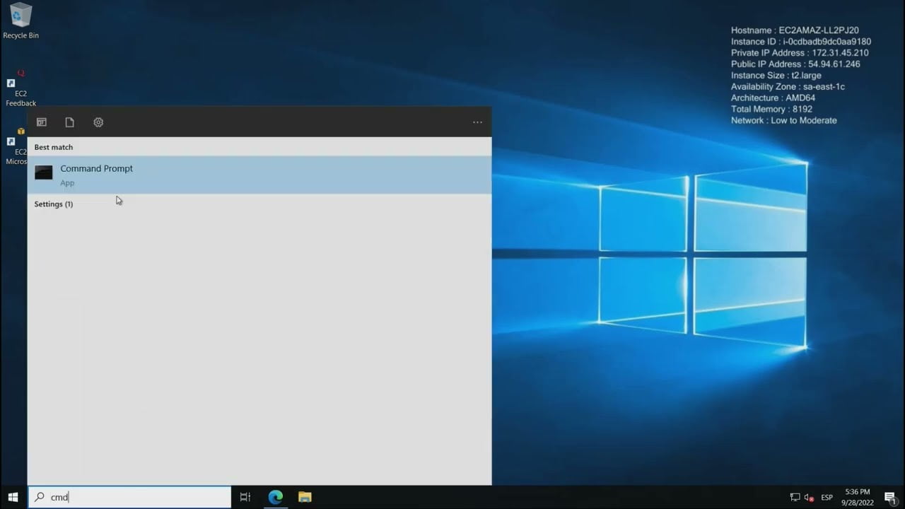 Pyenv -Installation in Windows: Einfach und schnelles Tutorial - Tiempo de Frikis