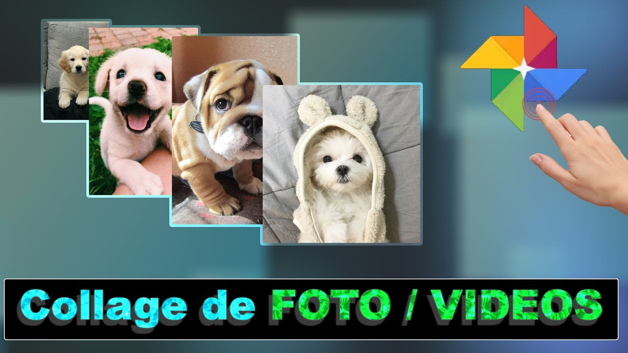Wie mache ich eine Collage mit Videos und Fotos?