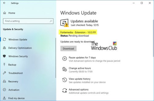 Was ist das Fortemedia -Erweiterungs -Update in Windows? - Tiempo de Frikis