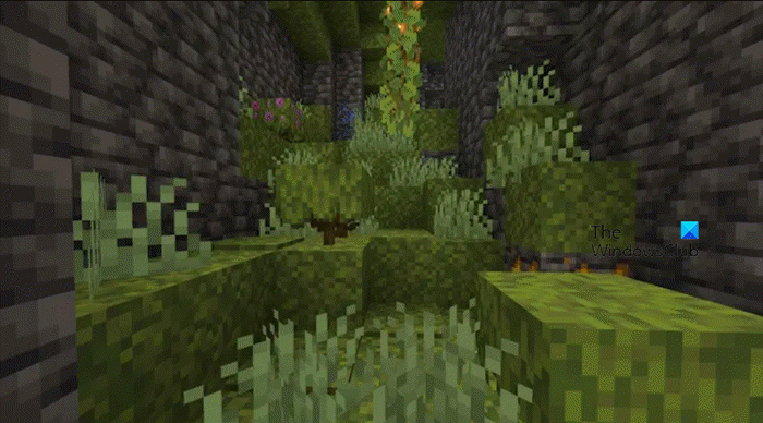 Wie bekomme ich Moos in Minecraft? - Tiempo de Frikis