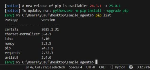 So installieren Sie Python-Bibliotheken in Visual Studio Code - Tiempo de Frikis
