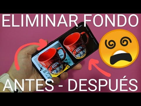 Comment appelle-t-on une image sans fond