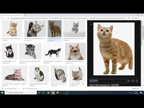 Comment s’appelle le format des images sans fond ? - Tiempo de Frikis