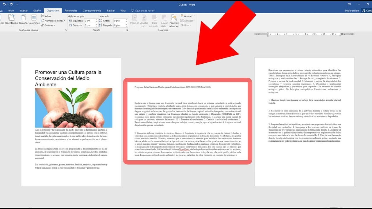Comment mettre une seule feuille horizontale dans un document Word ...