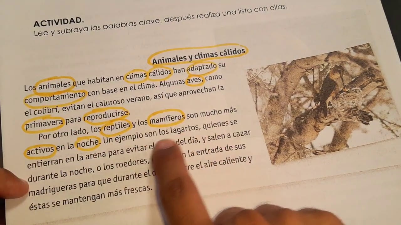 Quelles sont les clés textuelles d'un texte