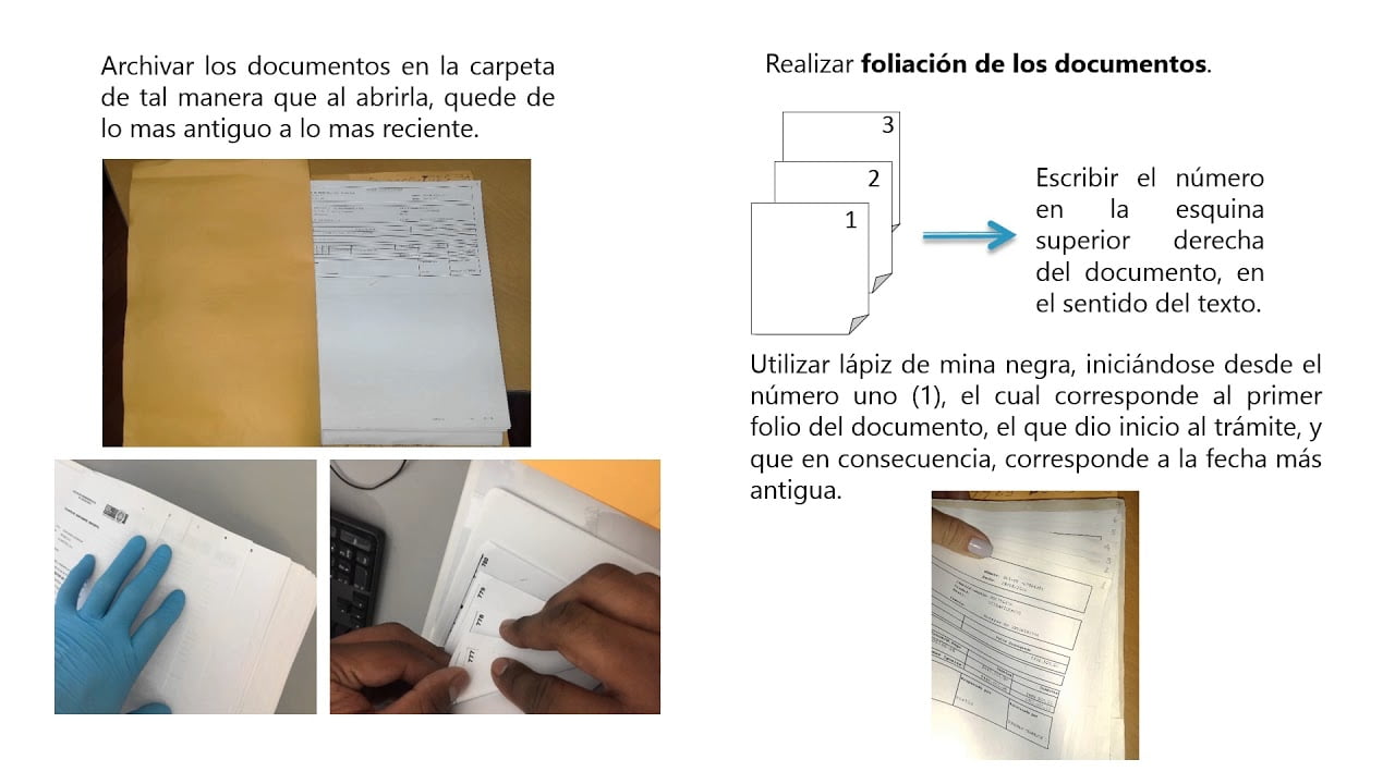Quels sont les types de dossiers d’entreprise ? - Tiempo de Frikis