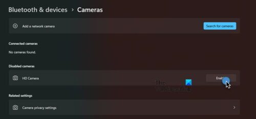 La caméra indique qu'elle est bloquée ou désactivée dans Windows 11 ...