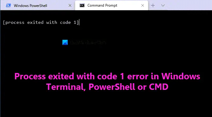 Se corrigió el proceso con el error del Código 1 en Windows Terminal ...