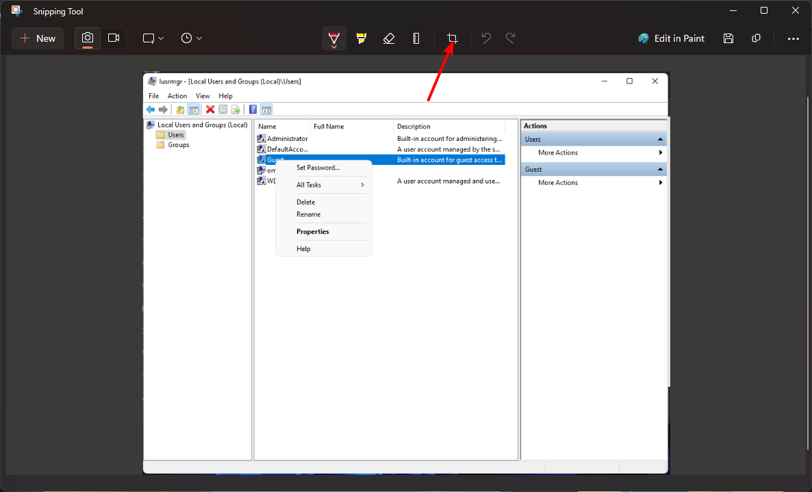 Cómo recortar una imagen en Windows 11 [5 formas]