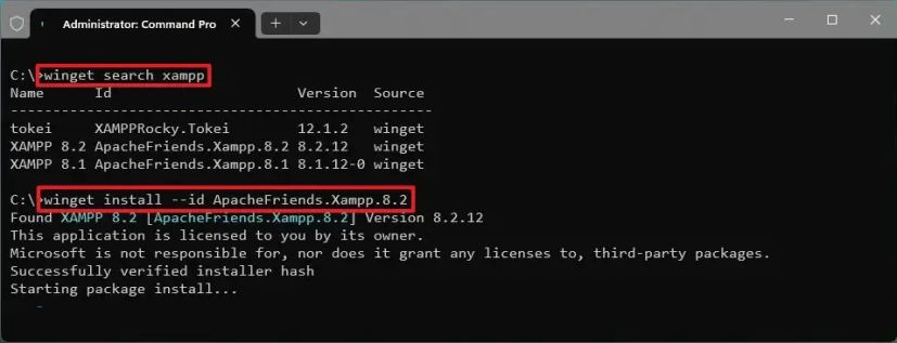 Cómo instalar XAMPP en Windows 10, 11 - Tiempo de Frikis