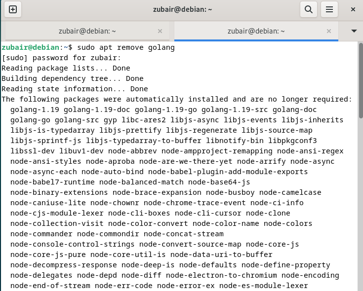 ¿Cómo instalar Go en Debian 12?