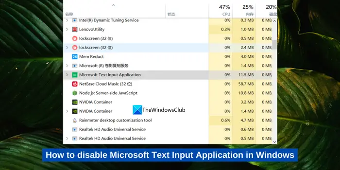 Come disattivare l'applicazione Microsoft Text Input in Windows 11/10 ...