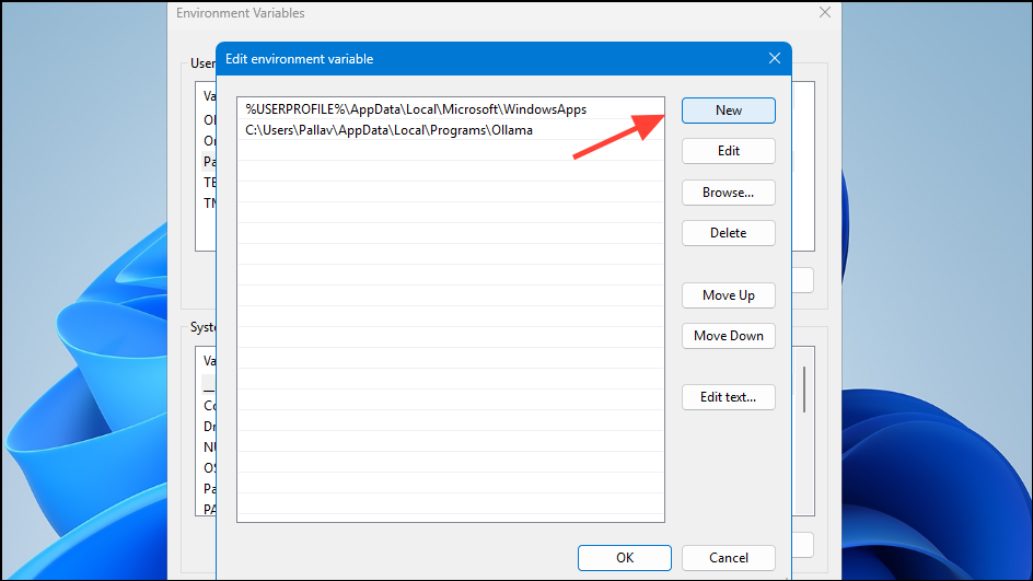 Come aggiungere Python al percorso su Windows 11 - Tiempo de Frikis