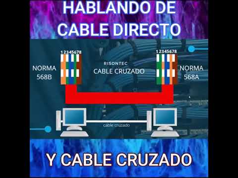 Quale regolamento viene utilizzato per creare cavi UTP diretti?