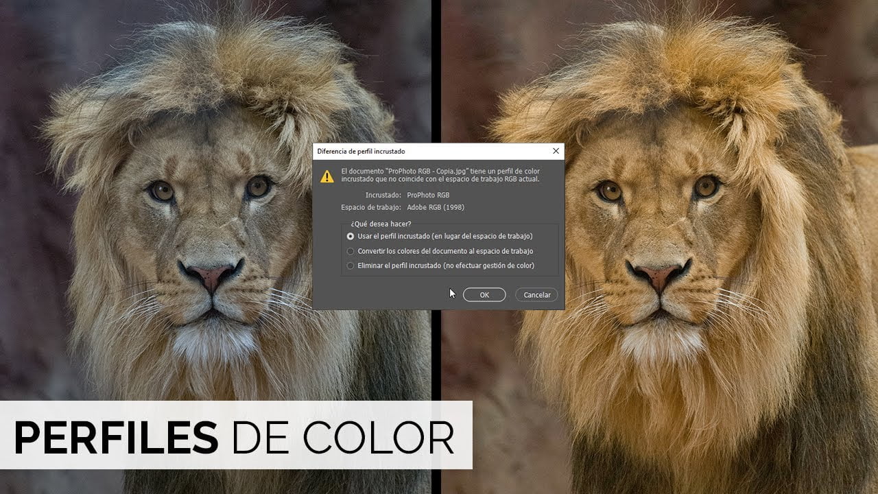 Qual è il profilo di colore adatto per Photoshop? - Tiempo de Frikis