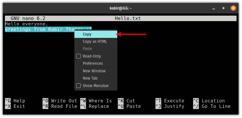 Come utilizzare Nano Text Editor in Linux