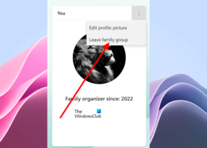 Come disattivare le funzionalità di Microsoft Family visualizzate in ...