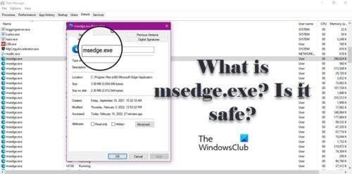 Cos'è msedge.exe? È sicuro? Come si fissa l'utilizzo elevato di disco o CPU? - Tiempo de Frikis