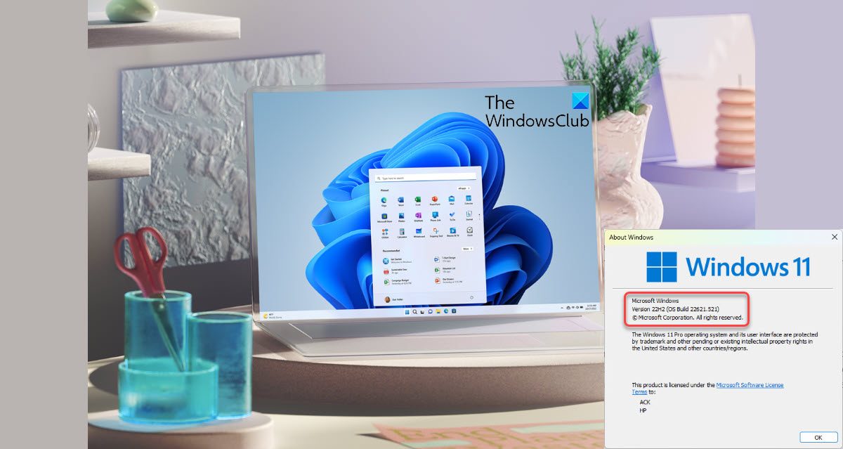 Come ottenere la versione di aggiornamento di Windows 11 24H2