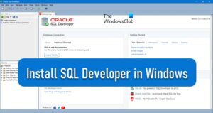 Come installare SQL Developer in Windows 11 - Tiempo de Frikis