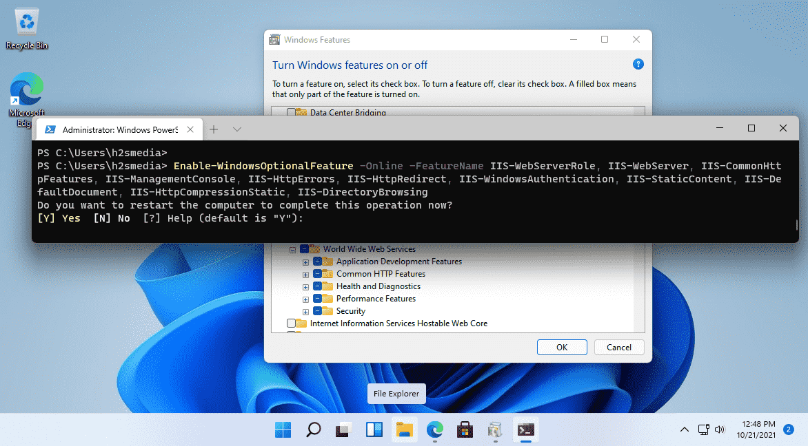 Windows 11 で IIS (インターネット インフォメーション サービス) を有効にする方法 - Tiempo de Frikis