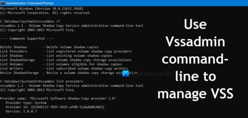 Vssadmin コマンドラインを使用して Windows 11/10 で VSS を管理する方法 - Tiempo de Frikis