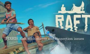 Windows PC での Raft マルチプレイヤーと接続の問題を修正 - Tiempo de Frikis