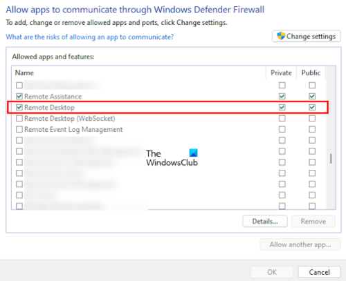 Windows 11/10でリモートデスクトップエラーコード0x204を修正します - Tiempo de Frikis