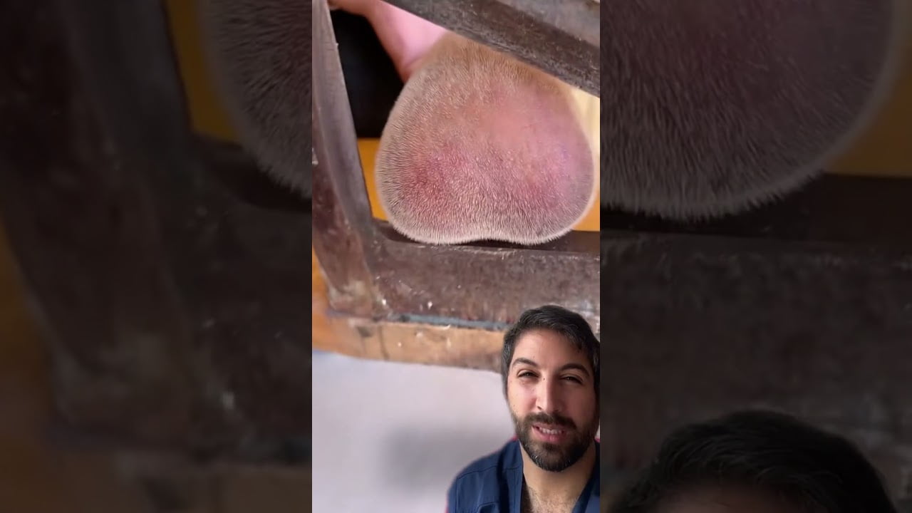 Atidarykite jaustukus sistemoje „Windows 10“: nuoseklus funkcijos ...