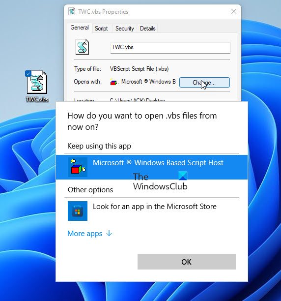 Ištaisykite „Windows Script Host“ klaidą „Windows 11/10“ paleidime ...