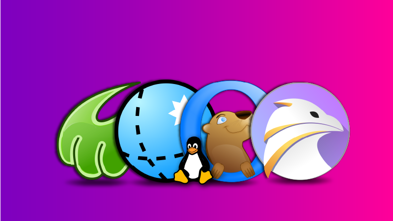 10 beste browsers voor Linux - lichtgewicht, snel en veilig!