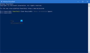 Hoe Recycle Bin op 6 verschillende manieren te legen in Windows 11/10