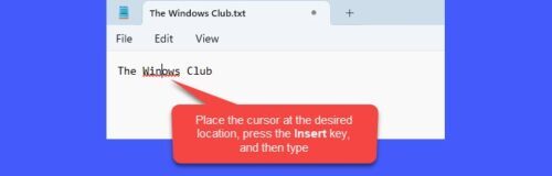 Hoe U Overtype In Kladblok In Windows 11 Kunt Uitschakelen Tiempo De 2995