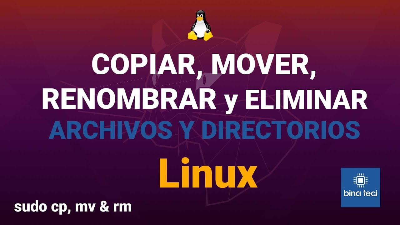 Hvordan kopiere og treffe Ubuntu -terminalen?
