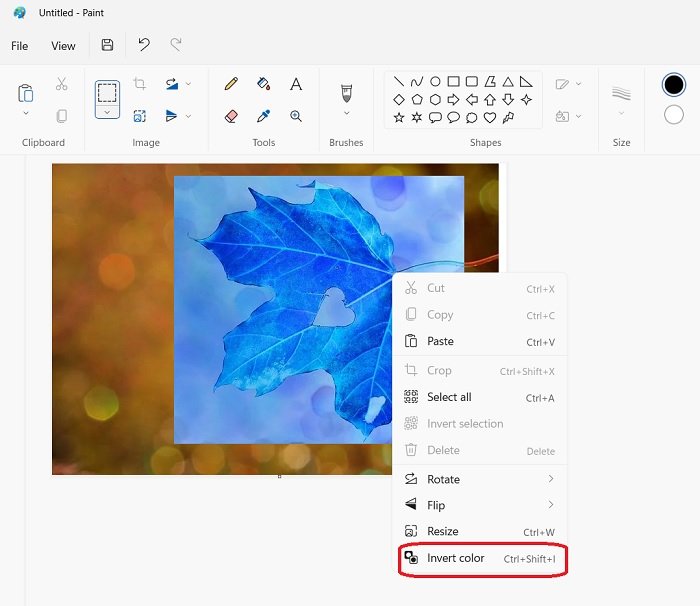 Microsoft Paint Tips og triks for Windows 11-brukere