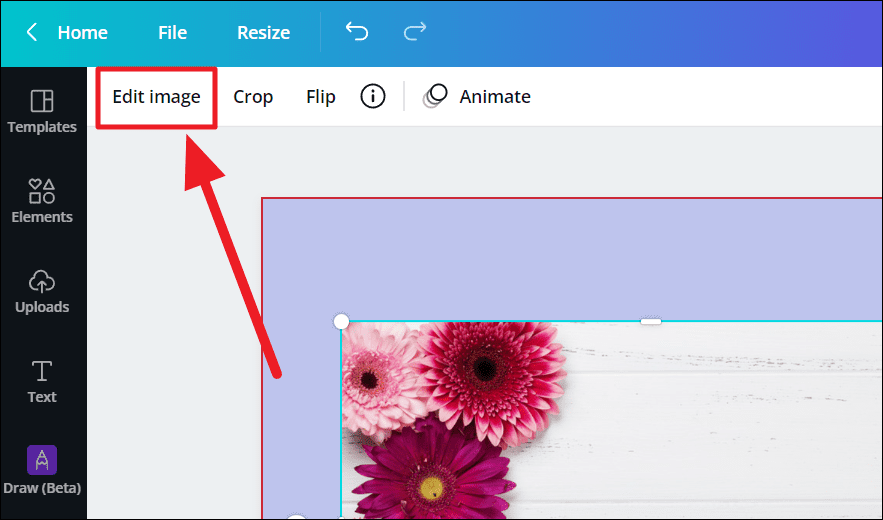 Jak korzystać z efektu cienia Canva