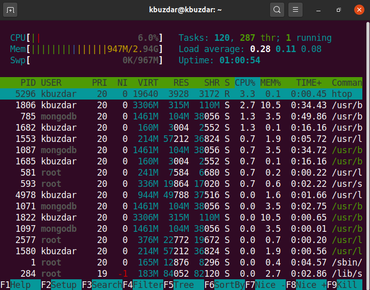 Como usar o HTOP para monitorar os processos do sistema no Ubuntu 20.04