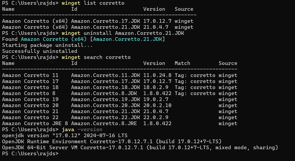 Como instalar o Amazon Corretto no Windows 11 ou 10 - Tiempo de Frikis
