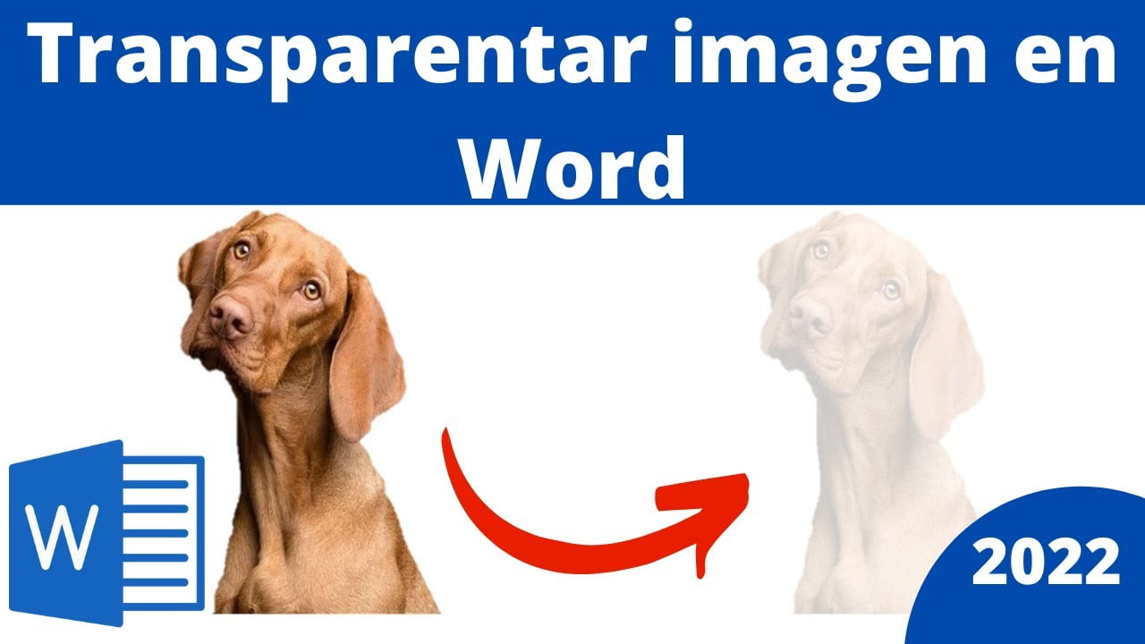 Como fazer uma imagem PNG transparente no Word?