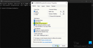 Habilite CTRL+C e CTRL+V no prompt de comando do Windows 11 - Tiempo de ...