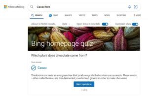 Como jogar o Bing Homepage Quiz e ganhar? - Tiempo de Frikis