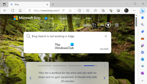 A pesquisa do Bing não funciona no Microsoft Edge - Tiempo de Frikis