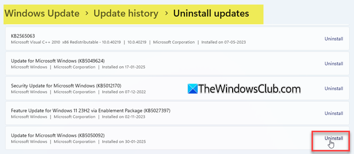 Problema com o Microsoft Windows App Runtime DynamicDependência LifeTimemanager - Tiempo de Frikis